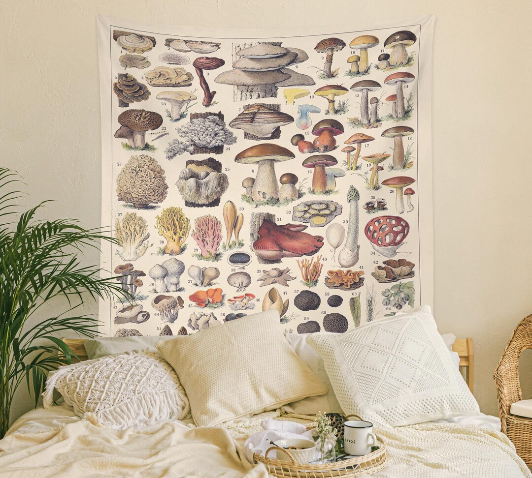 Vintage Mushroom Chart Tapestry: Cottagecore Dorm Decor - Etsy