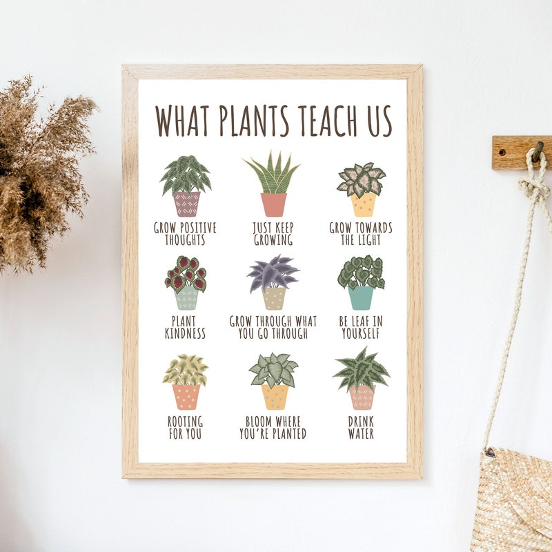 Plant Poster - Etsy