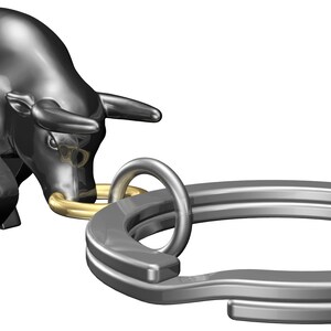 Metalmorphose 3D Bull Ring Keychain - Etsy