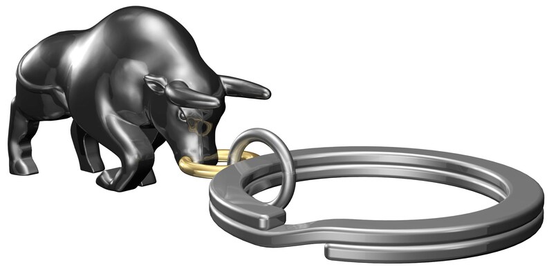 Metalmorphose 3D Bull Ring Keychain - Etsy