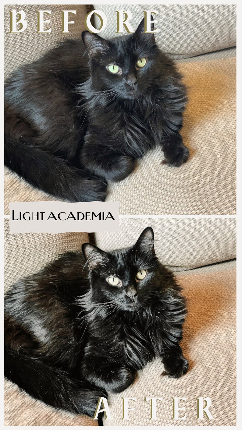 Dark + Light Academia Presets for Mobile and Professional Photography ...