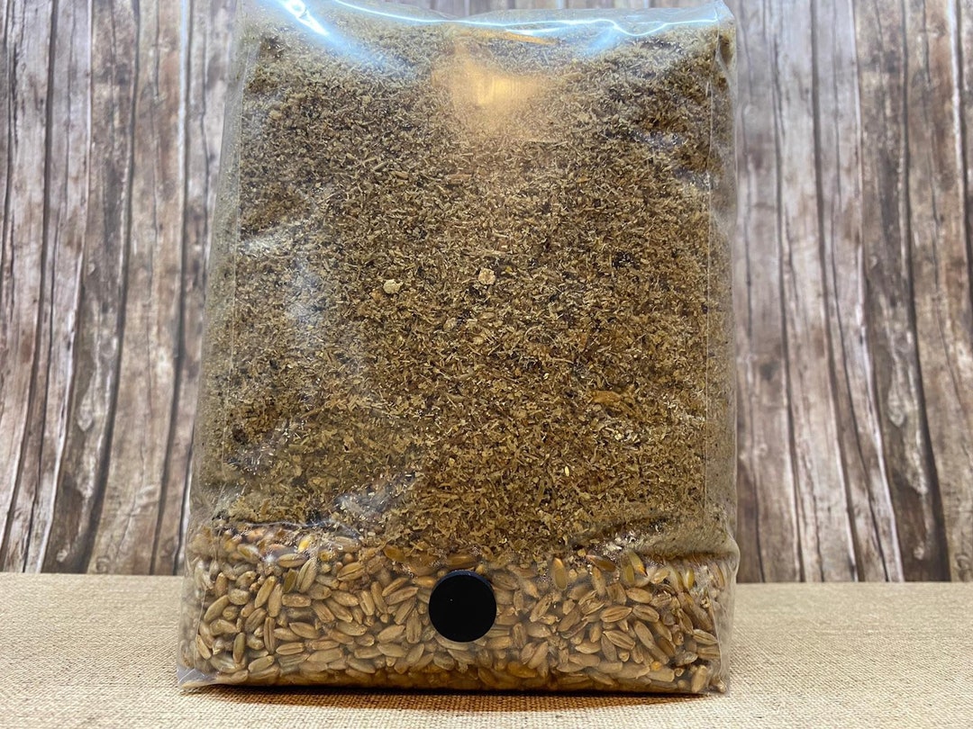 Sterile All-in-one Sawdust Mushroom Grow Bag With Injection Port ...