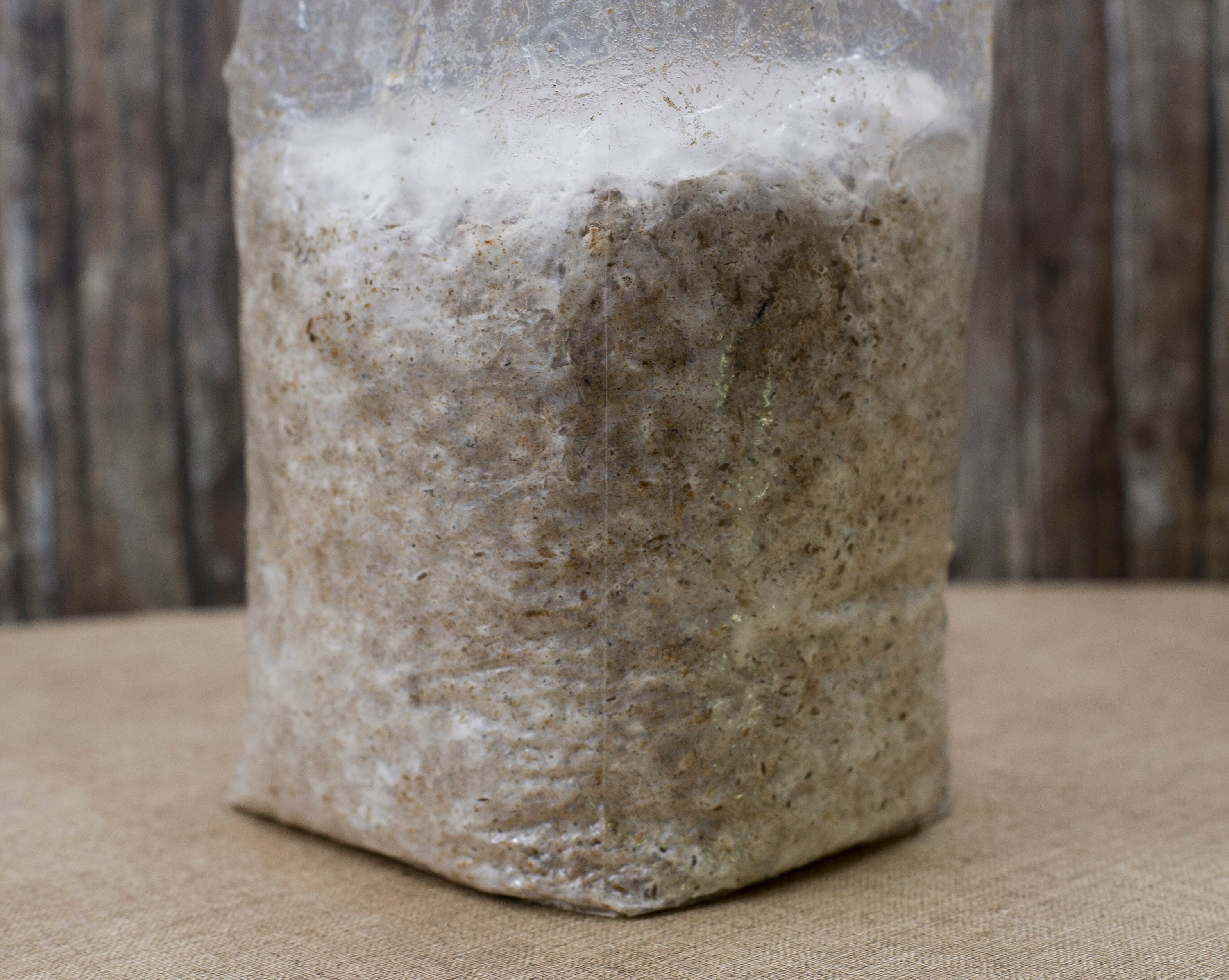 Sterile All-in-one Sawdust Mushroom Grow Bag With Injection Port ...