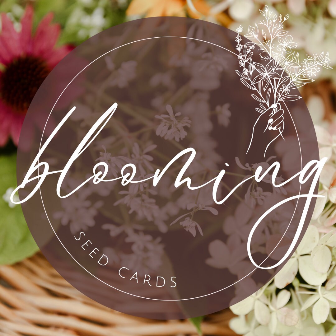 Seed Card Funny Wedding Card Open Bar Wedding 6x4 - Etsy