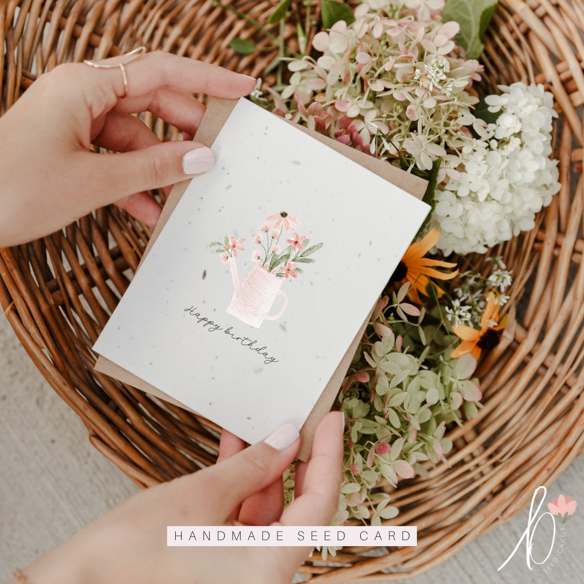 Variety Pack, 6 Seed Birthday Cards, Pack of 6, 6x4, Greeting Card ...