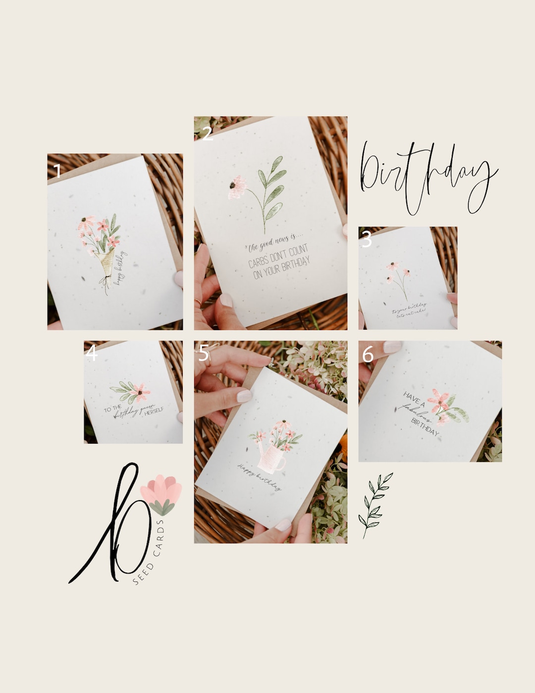 Variety Pack, 6 Seed Birthday Cards, Pack of 6, 6x4, Greeting Card ...