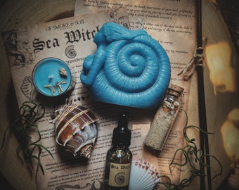 Dark Mermaid Deluxe Altar Kit Evil Siren Alter Set Sea Witchcraft Ocean ...