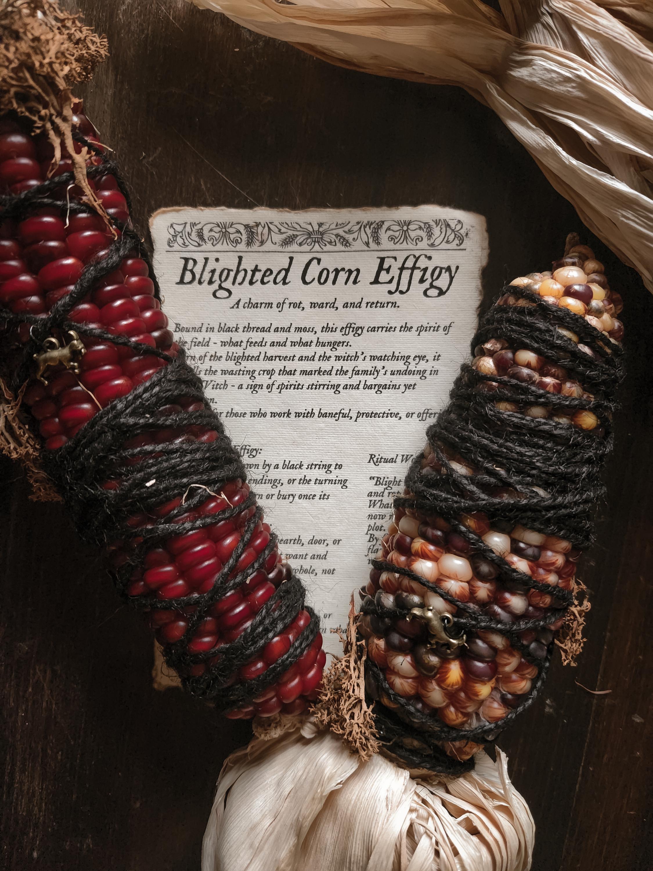 Blighted Corn Effigy – Folk Horror Corn Charm Inspired by the Vvitch - Etsy