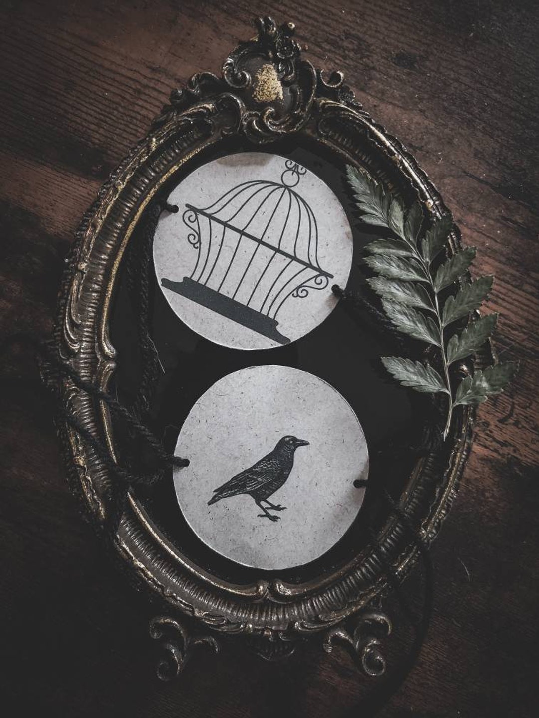 Crow & Cage Thaumatrope - Optical Illusion Spinner - Etsy