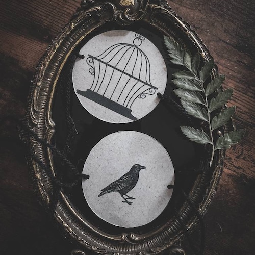 Crow & Cage Thaumatrope Optical Illusion Spinner - Etsy