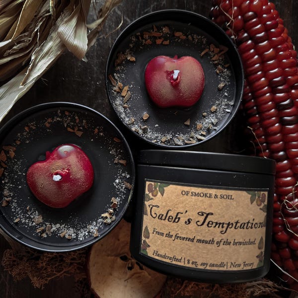 Temptations Candles - Etsy
