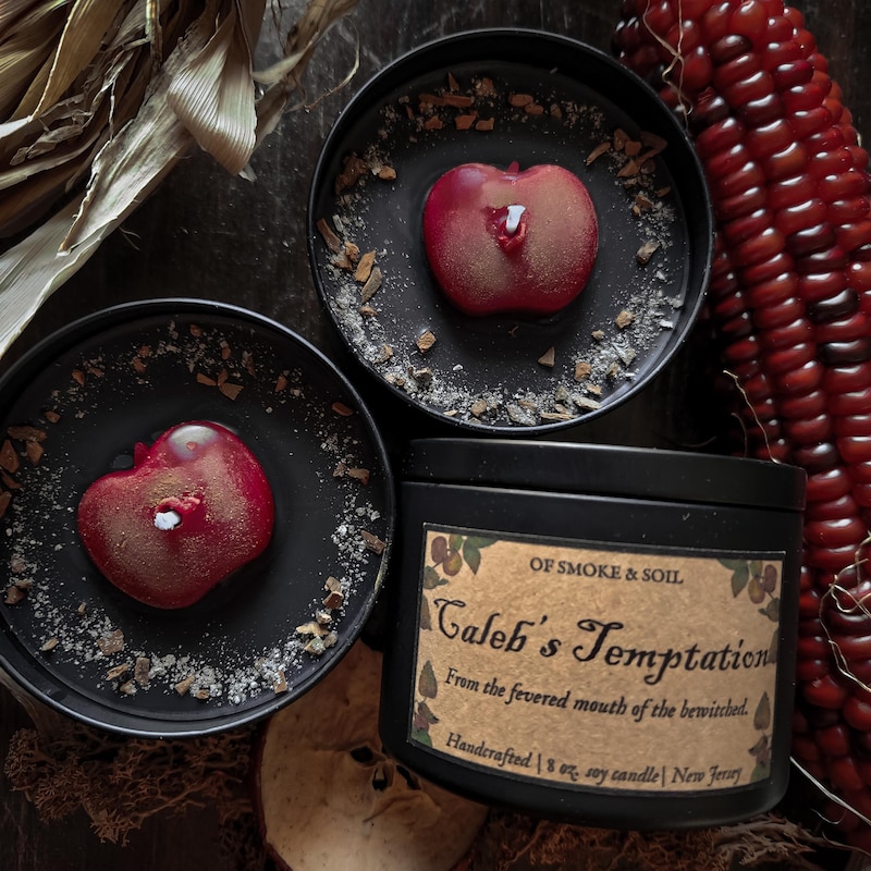 Temptations Candles - Etsy