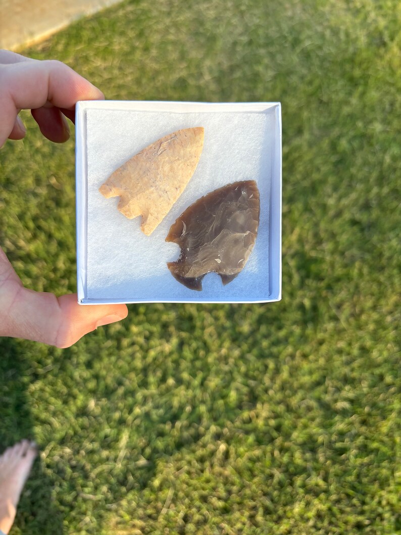 COOL GIFT Handmade Arrowheads One Made Out of Florida Agatized Coral ...