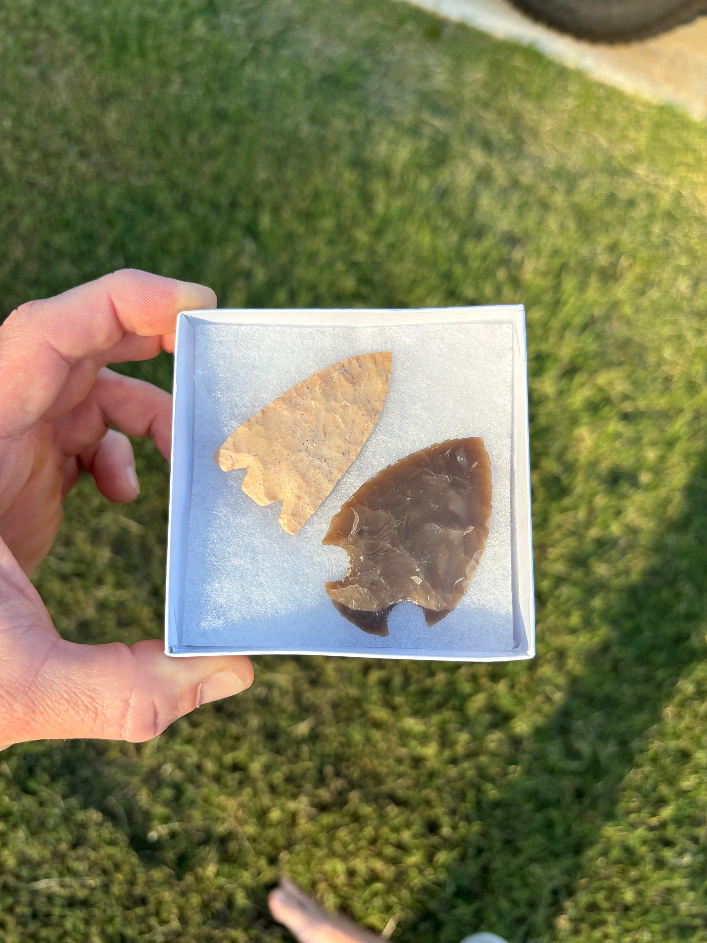 COOL GIFT Handmade Arrowheads One Made Out of Florida Agatized Coral ...