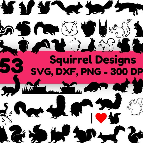Squirrel Svg - Etsy