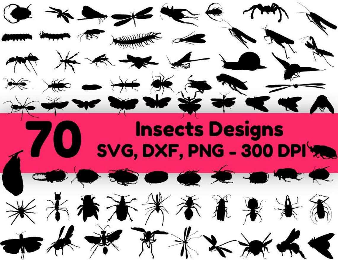 70 Insects Big SVG Bundle, Insect Cut File, Insect Clipart, Insect ...