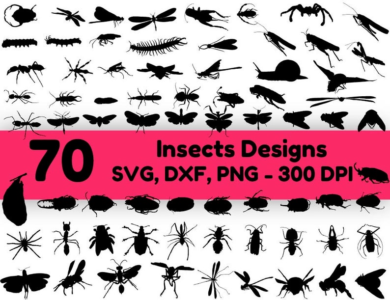 70 Insects Big SVG Bundle, Insect Cut File, Insect Clipart, Insect ...