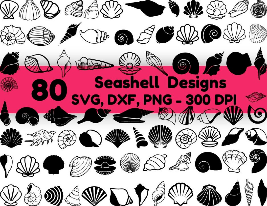 80 Seashell Big SVG Bundle Seashell Cut File Seashell DXF - Etsy