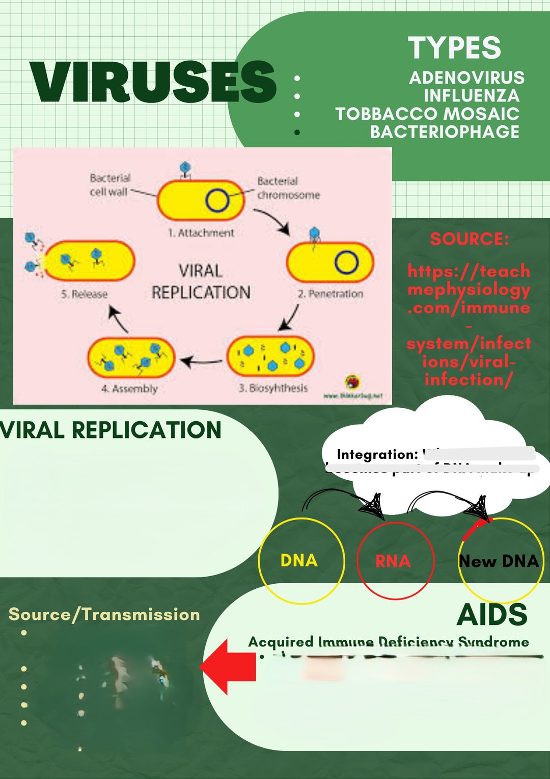 Viruses Summary Poster- One Page Supplement! - Etsy