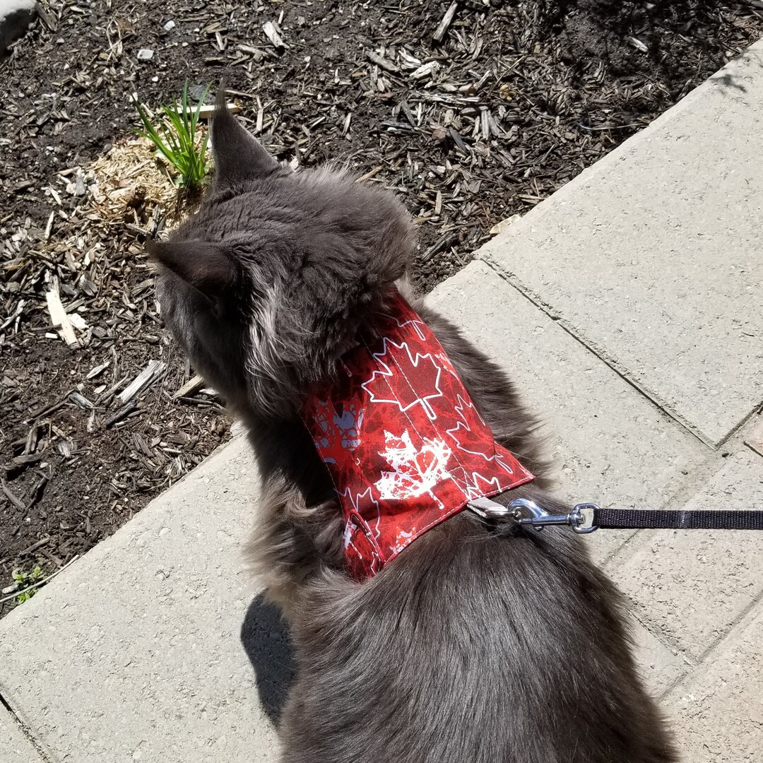 CANADA RED Cat Harness (escape Proof & Comfortable) - Etsy