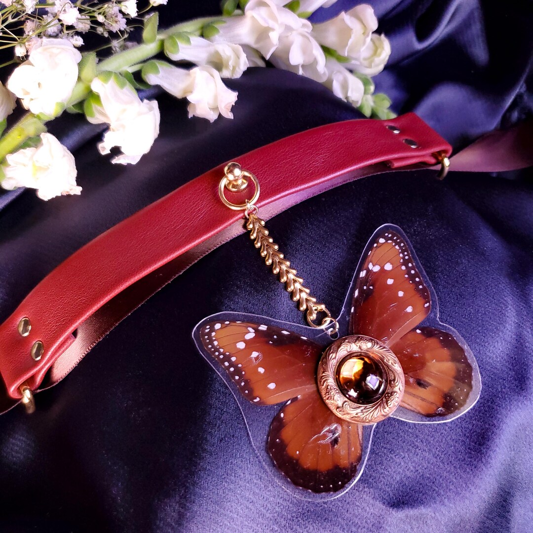 Real Butterfly Choker, White Butterfly Necklace, Adjustable Size ...