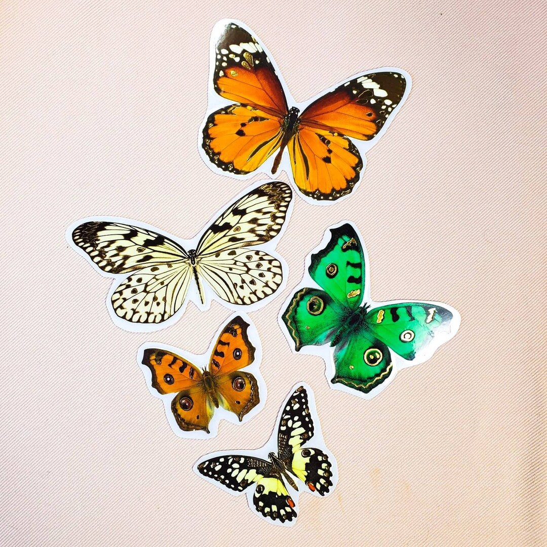 Butterfly Stickers, Die Cut Laminated Paper Butterfly Stickers, Variety ...