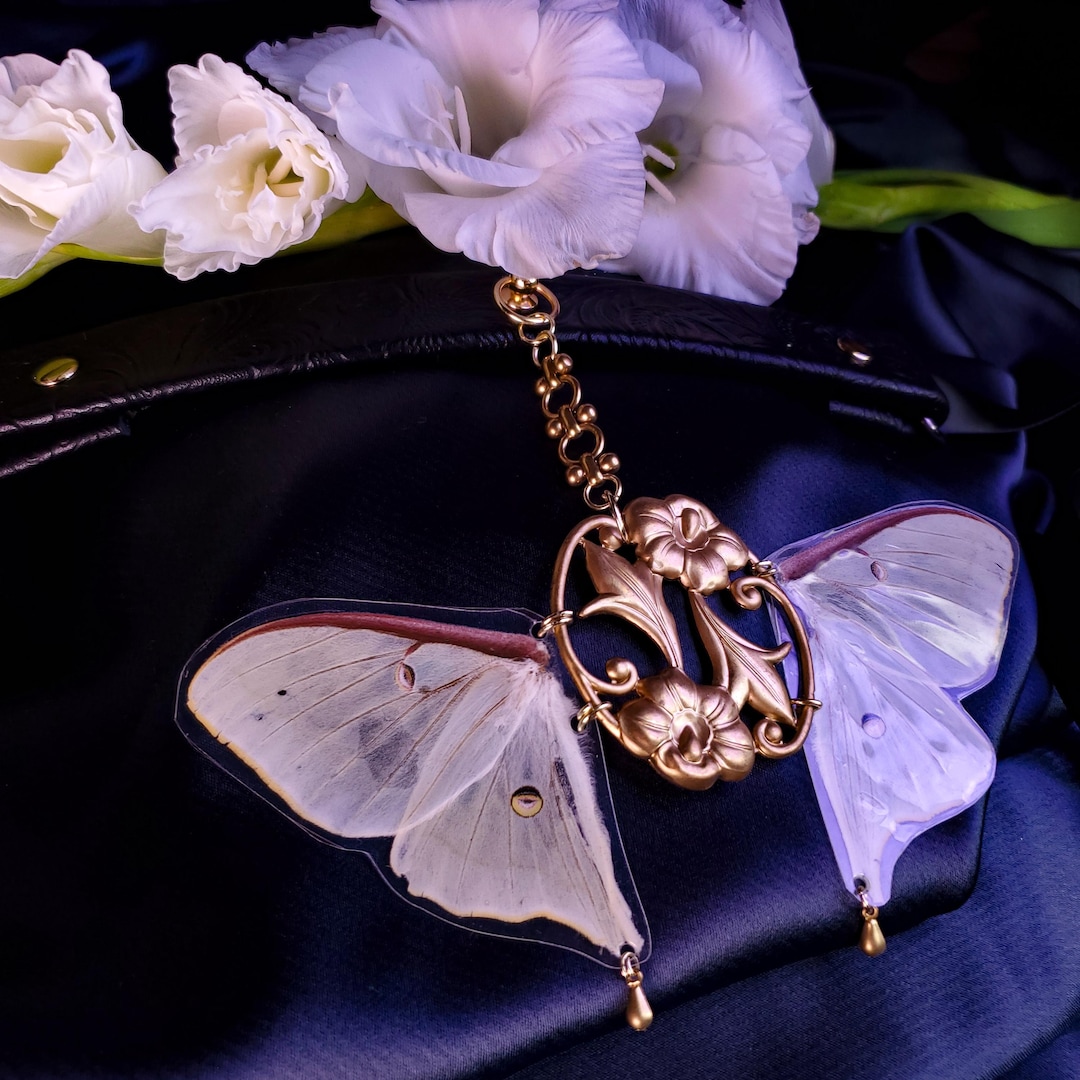 Real Luna Moth Choker, Adjustable Size Inclusive Choker Necklace ...