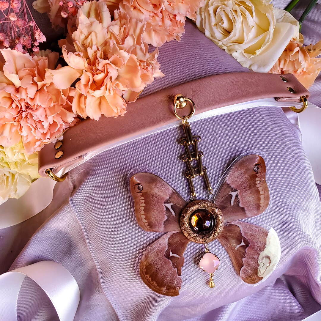 Real Moth Choker, Adjustable Size Inclusive Choker Necklace, Ribbon Tie ...