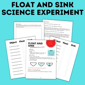 Float and Sink Science Experiment for Kids | Science Activities | STEM ...