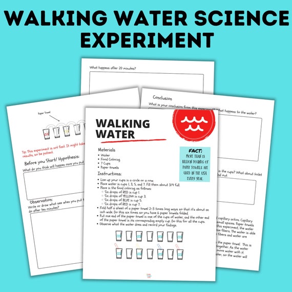 Kids Science Experiments Teach Kids Science Easy Science - Etsy