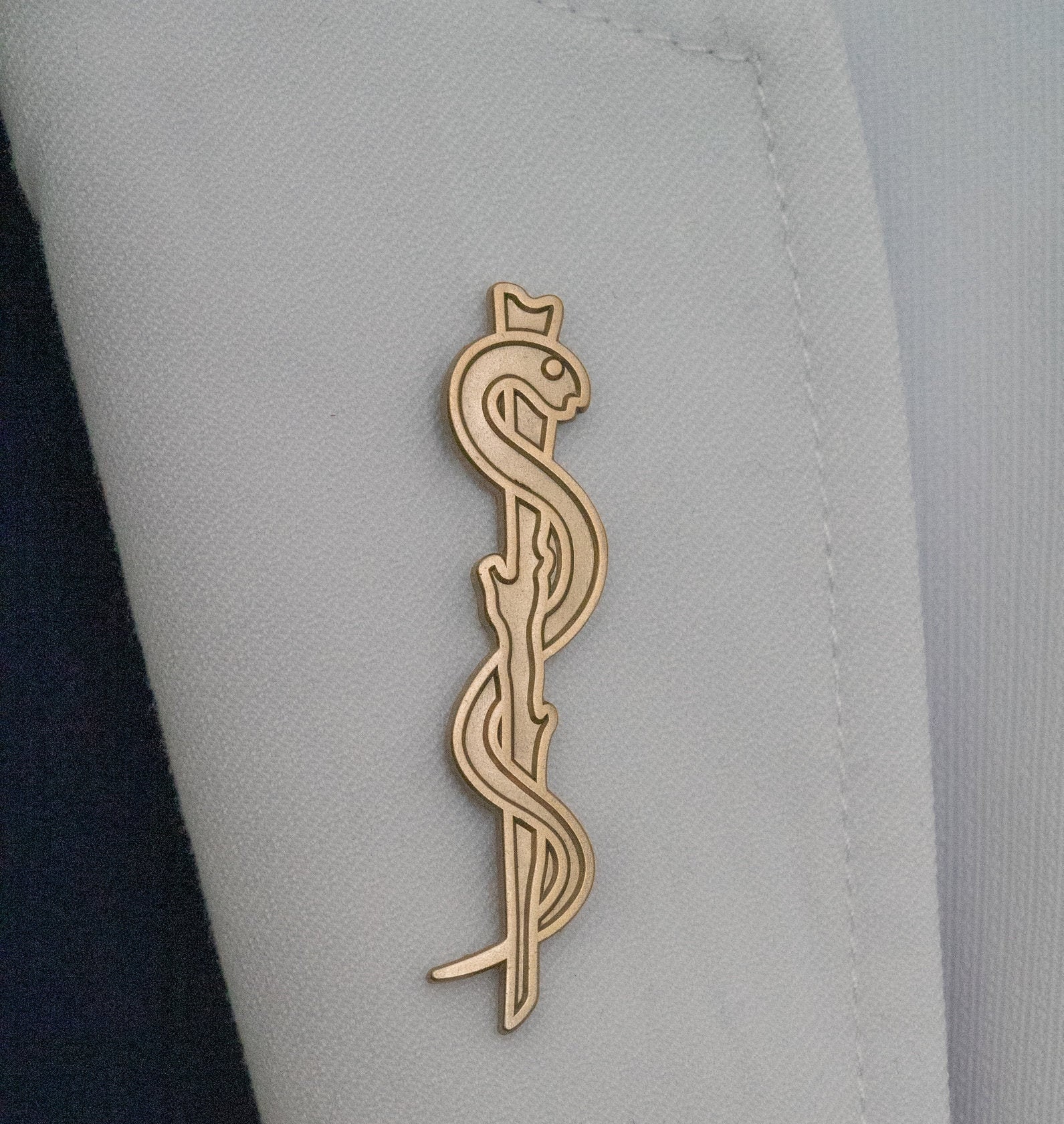Staff or Rod of Asclepius Lapel Pin True Medical Symbol - Etsy