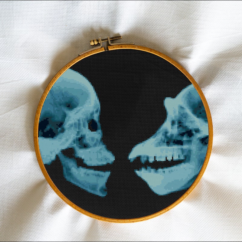 Human Skull Evolution - Etsy UK