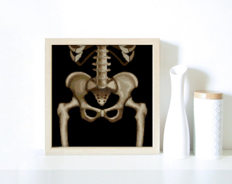 Pelvis Ribs Bones Skeleton Brains Anatomy Autopsy | Etsy