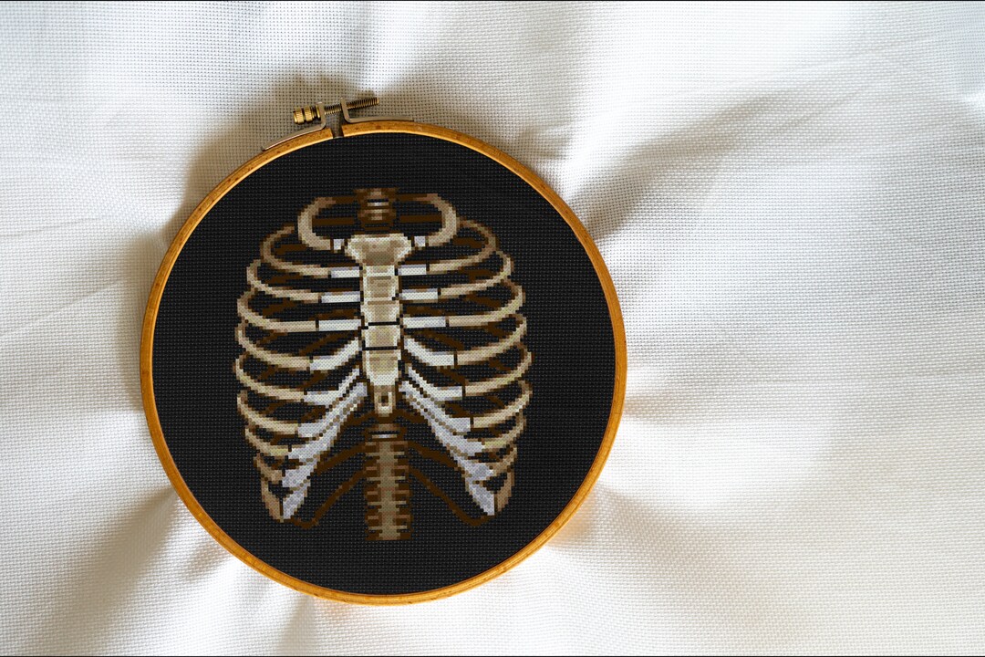 Ribs, Chest, Bones, Skeleton, Brains, Anatomy, Autopsy, Doctor ...