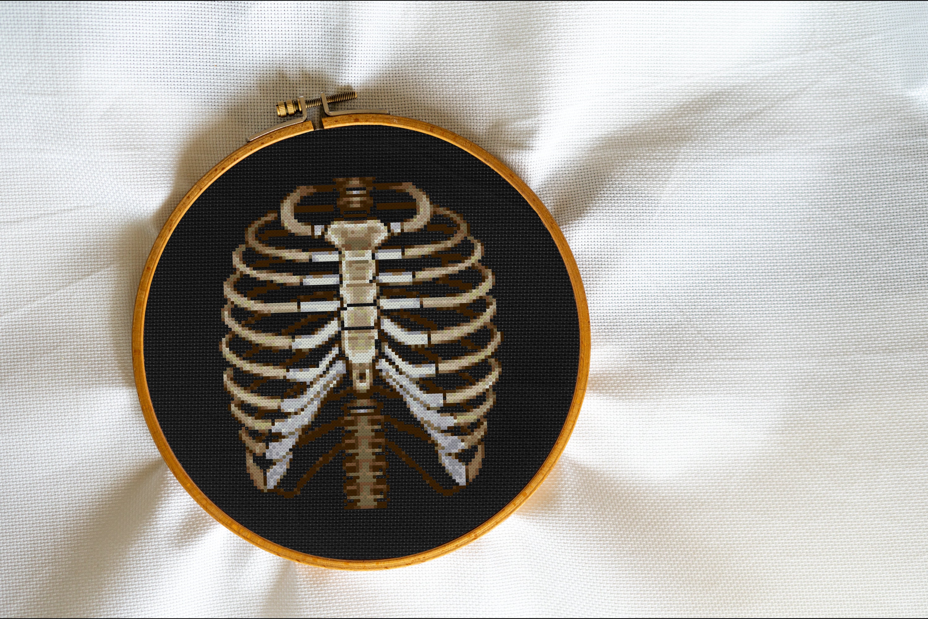 Ribs Chest Bones Skeleton Brains Anatomy Autopsy | Etsy