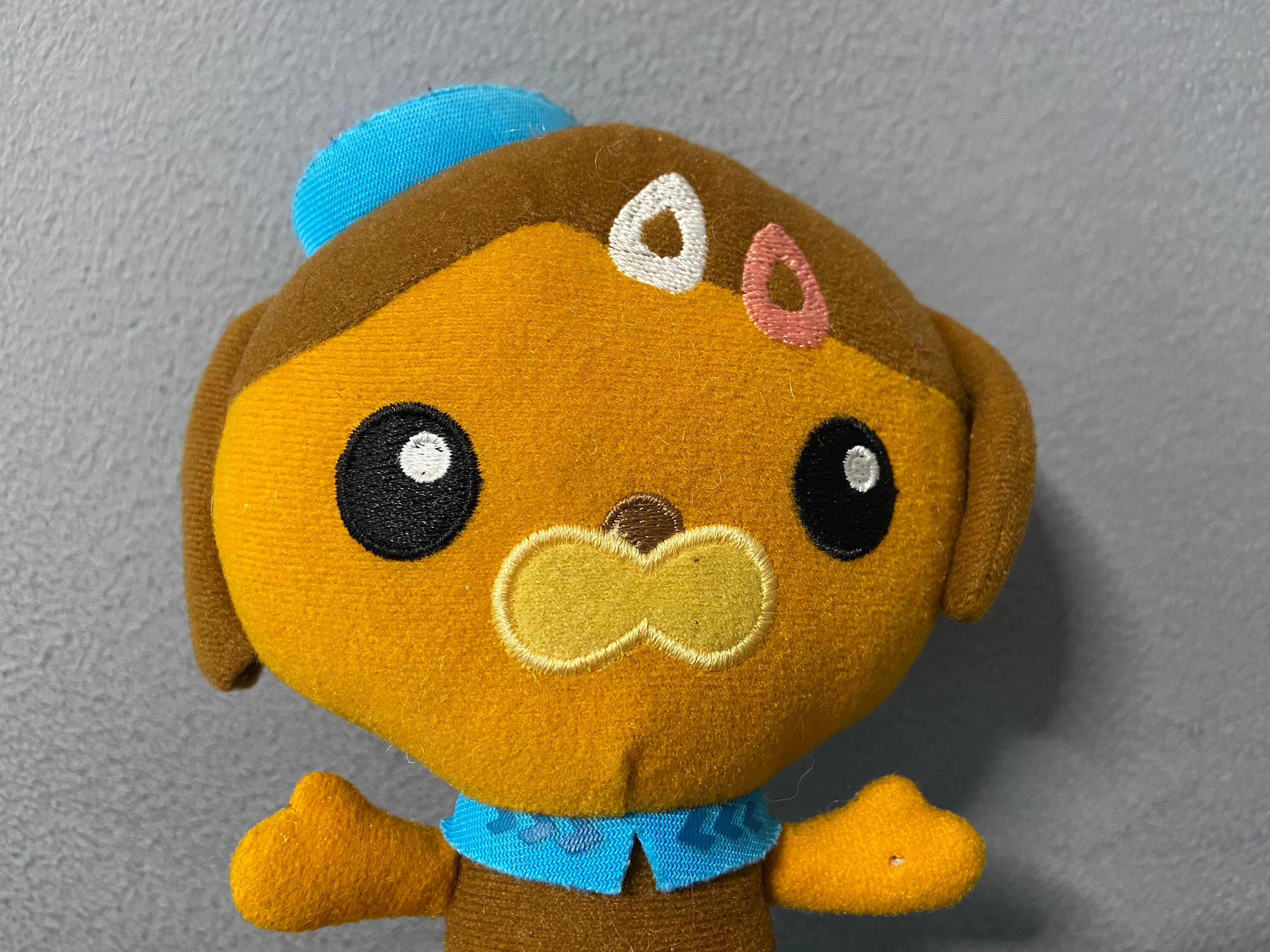 Octonauts Dashi Room