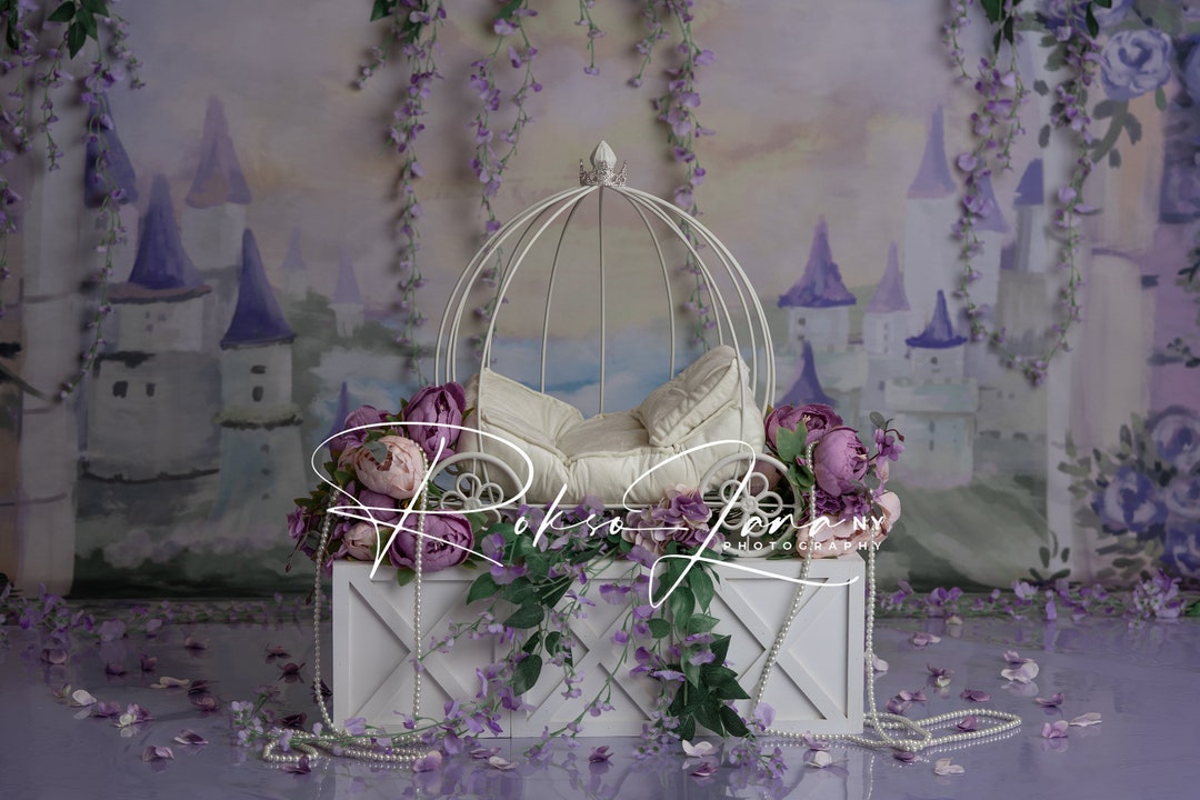 Newborn Digital Background/ Castle/ Princess/ Carriage - Etsy