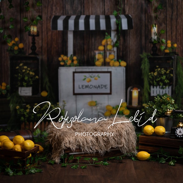 Lemon Backdrop - Etsy