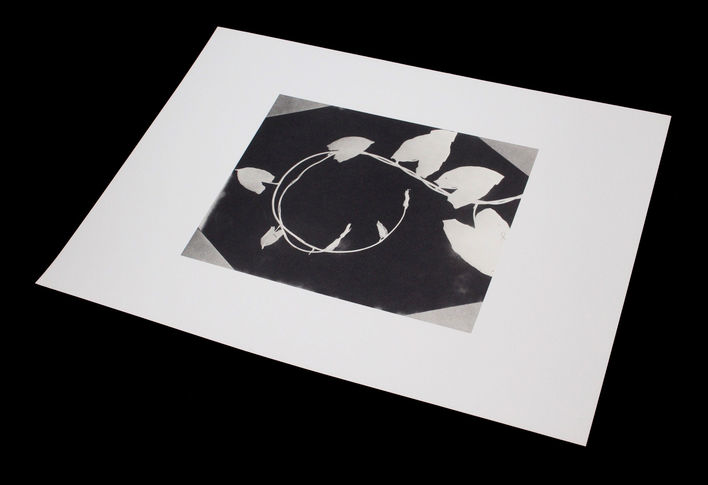 William Henry FOX TALBOT, Convovolus Leaf, Vintage Heliogravure Print ...