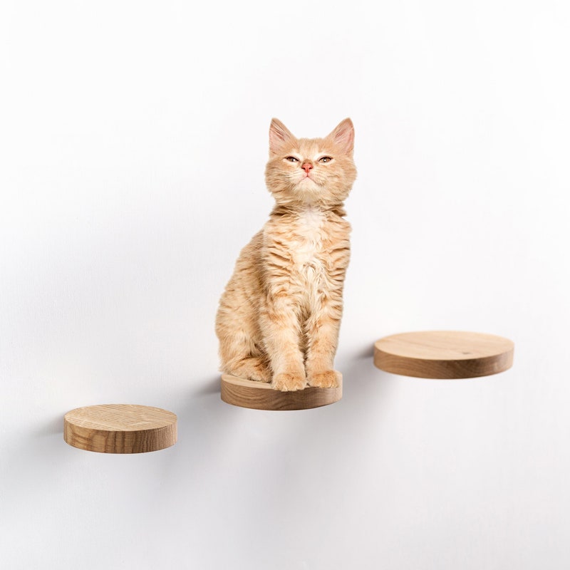 Cat Shelves - Etsy