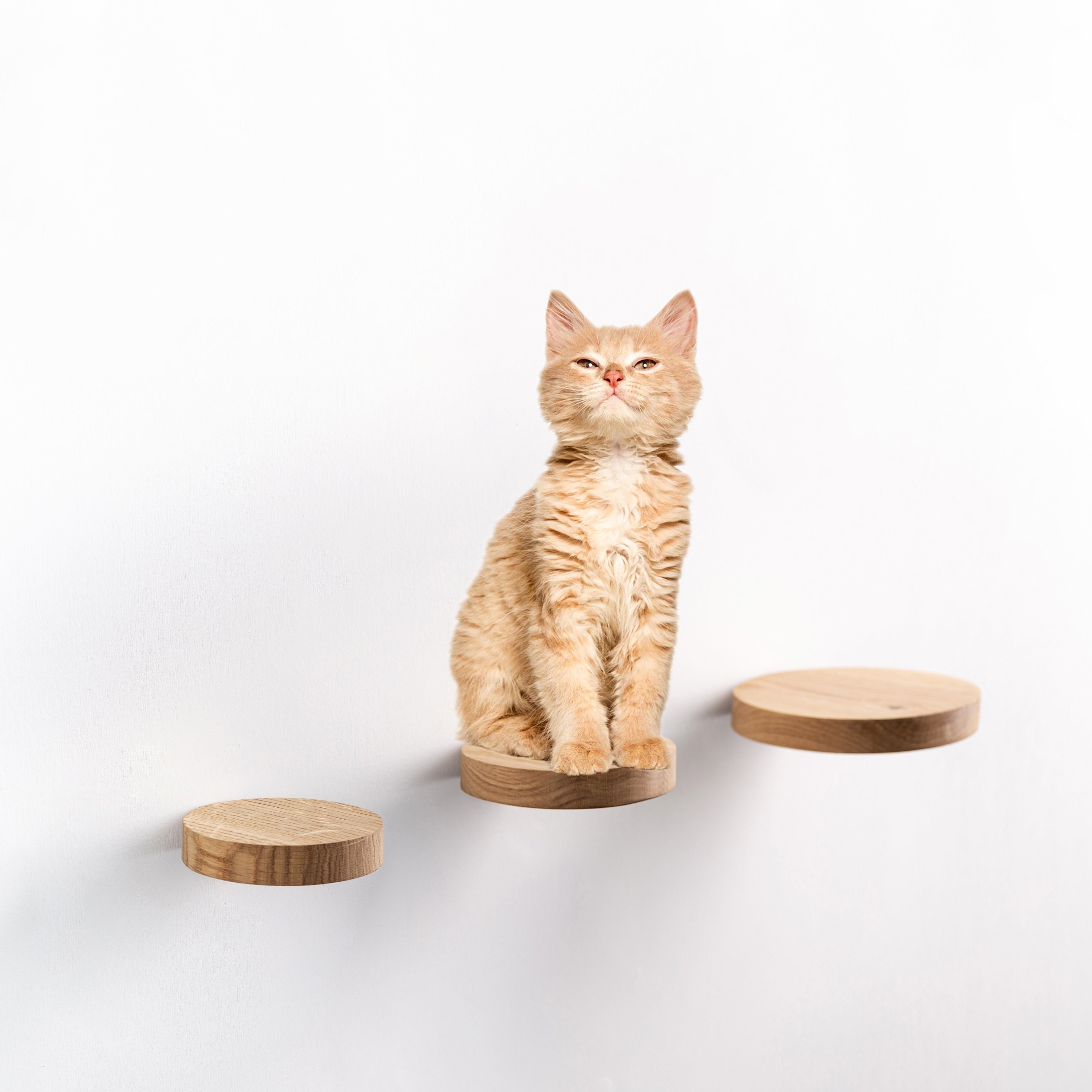 Floating Cat Shelves Minimalistic Wooden Pet Furniture Wall | Etsy