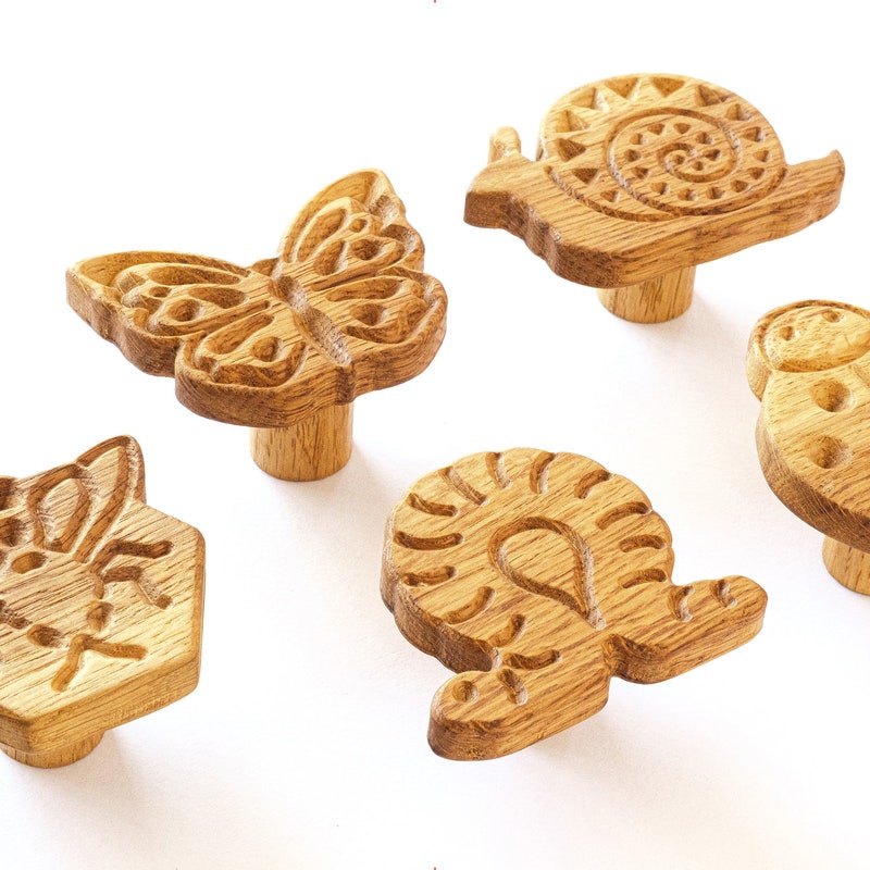 Insect Drawer Knobs - Etsy