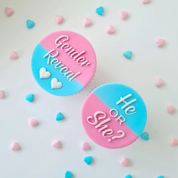 Gender Reveal Stamps - Etsy