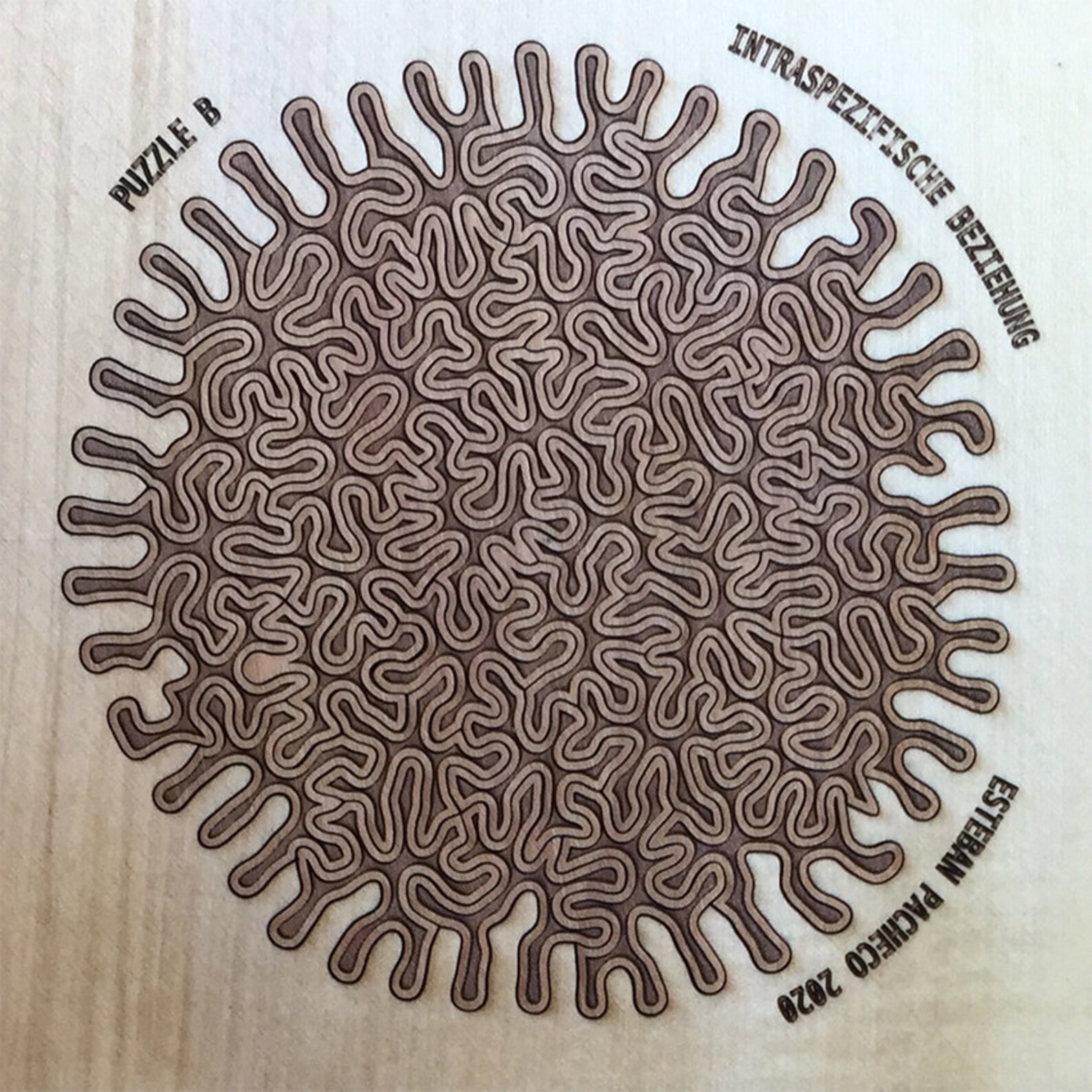 Intraspecific Relationship Puzzle B - Etsy