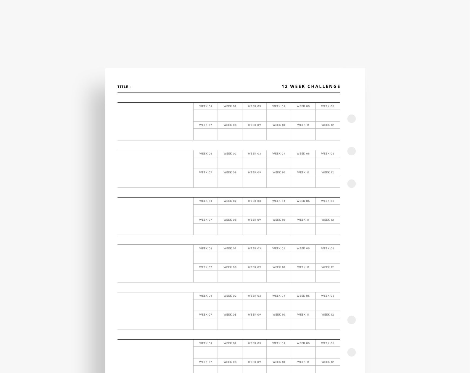 A5 Inserts : 12 Week Fitness Plan Printable, 12 Week Tracker, 12 Week ...