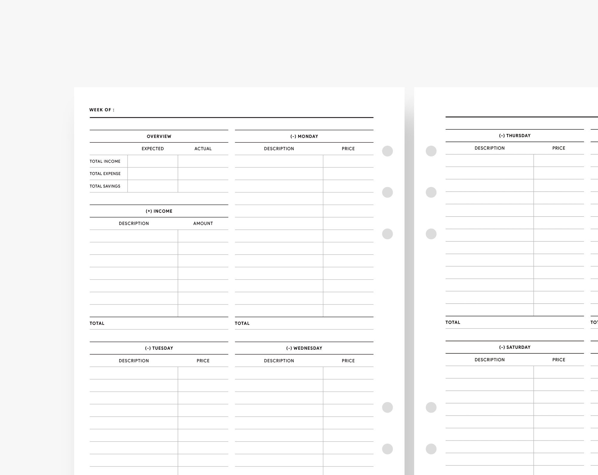 A5 Inserts : Financial Planner Printable, Weekly Income and Expense ...