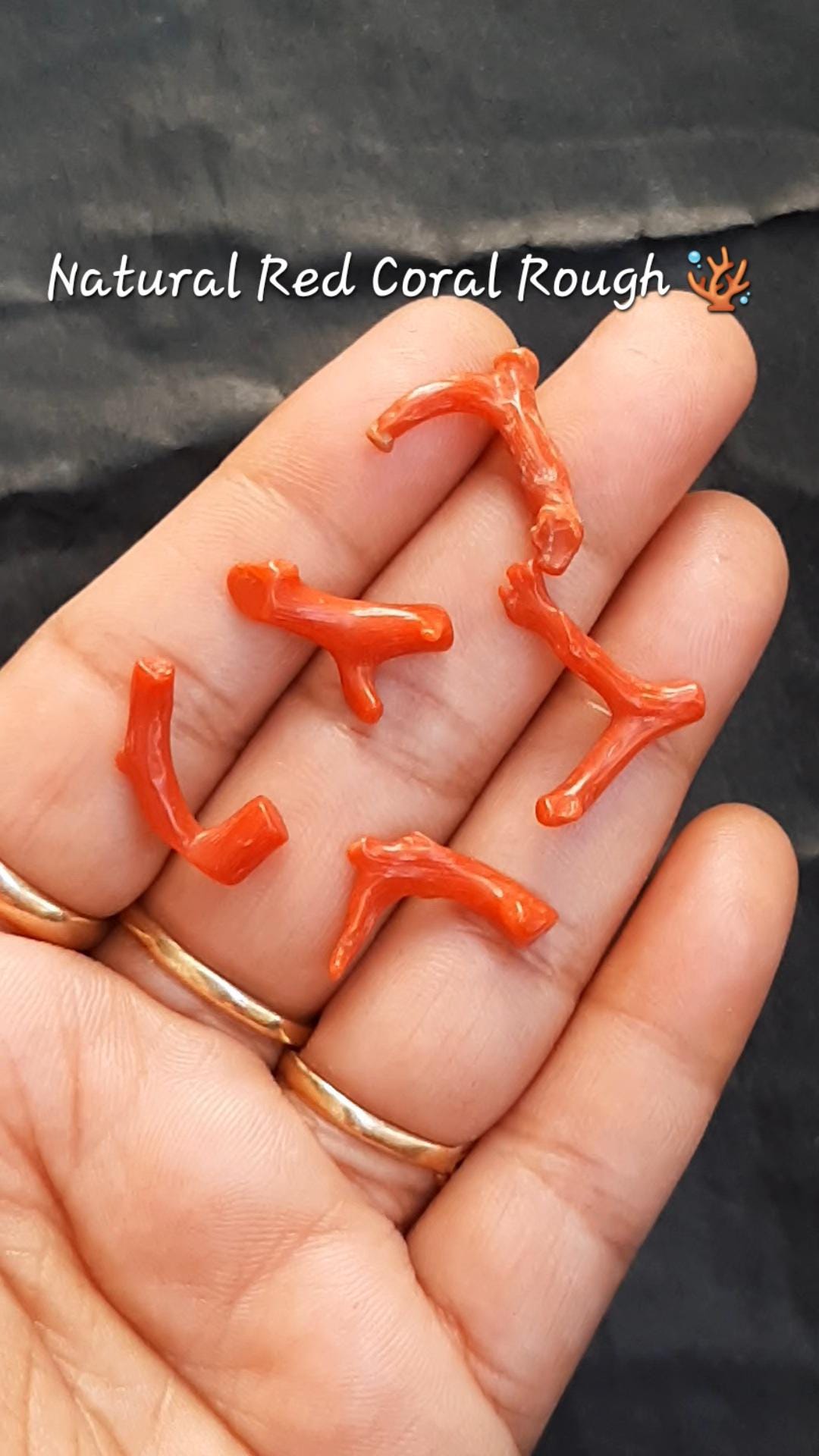 Natural Red Coral Rough (13-16mm) - Etsy