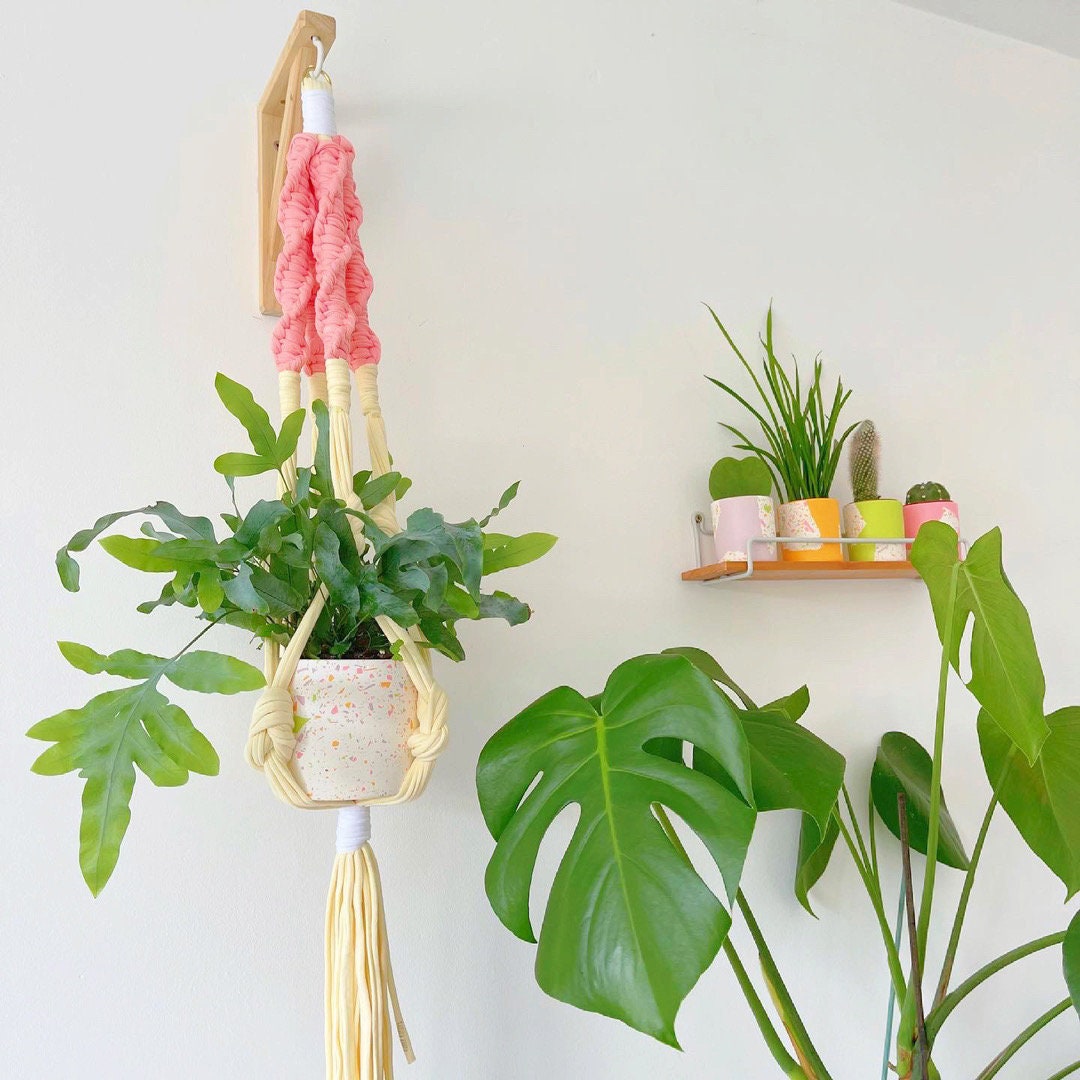 Medium Multi-coloured Terrazzo Plant Pot / Perfect for Small - Etsy