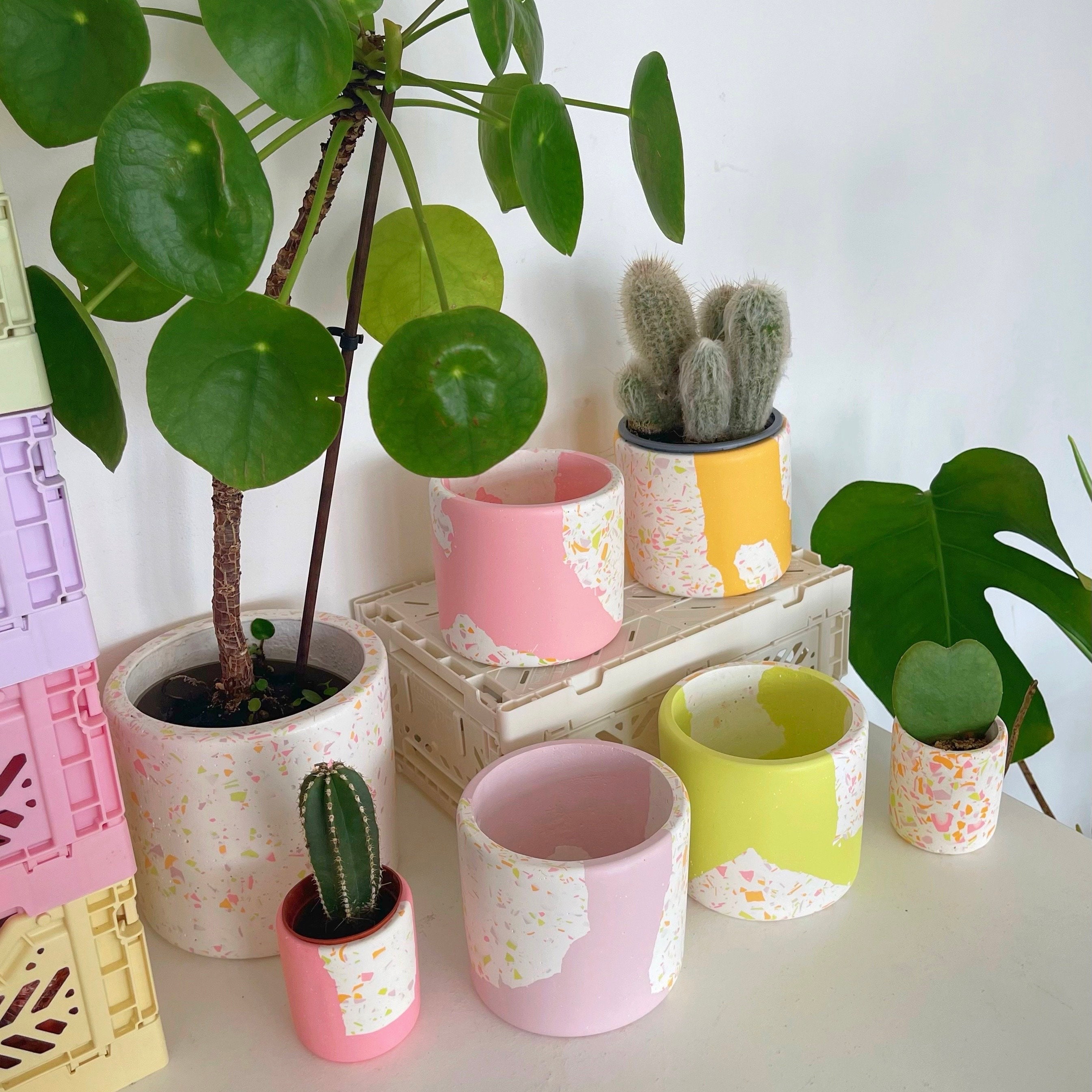 Medium Multi-coloured Terrazzo Plant Pot / Perfect for Small - Etsy