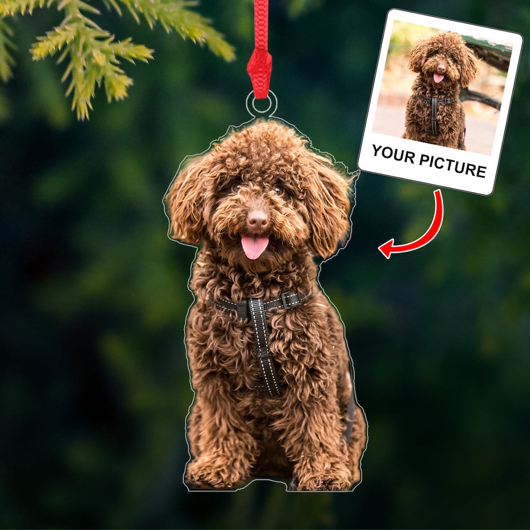 Personalized Pet Photo Ornament, Custom Dog Picture Ornament, Cat ...